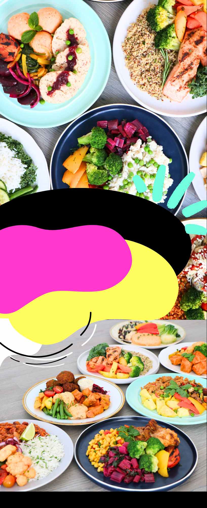 EVER GOURMET MEALS – Ever Gourmet